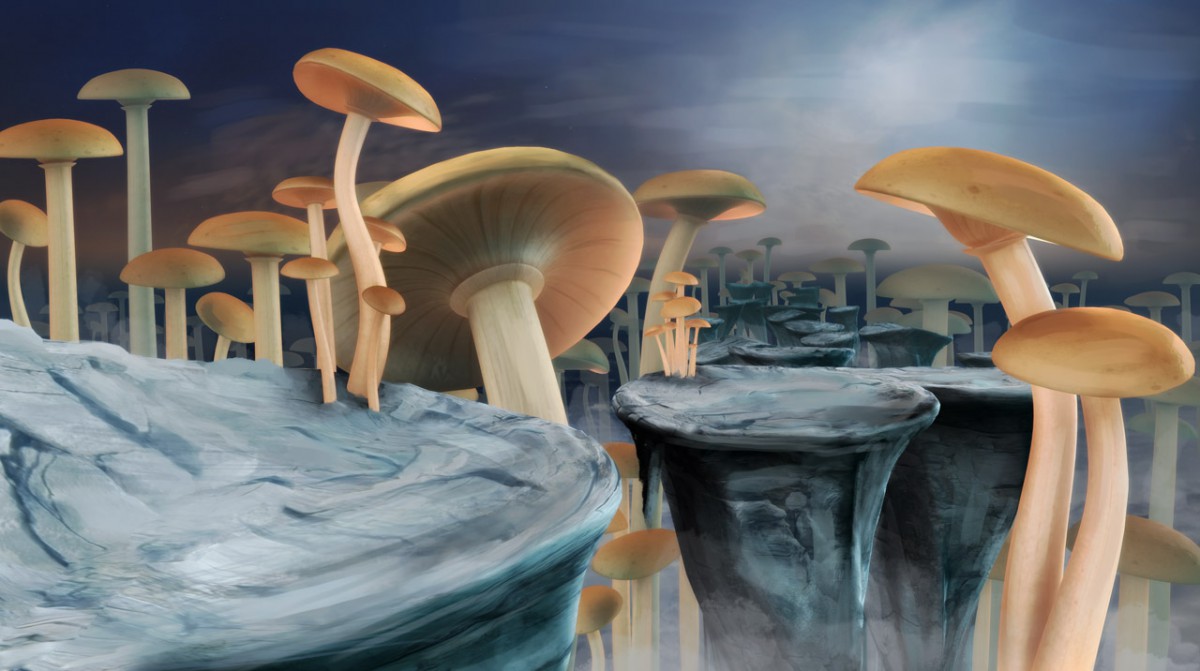 Animation Backdrop of Mushroom Forest | Greg Tatum